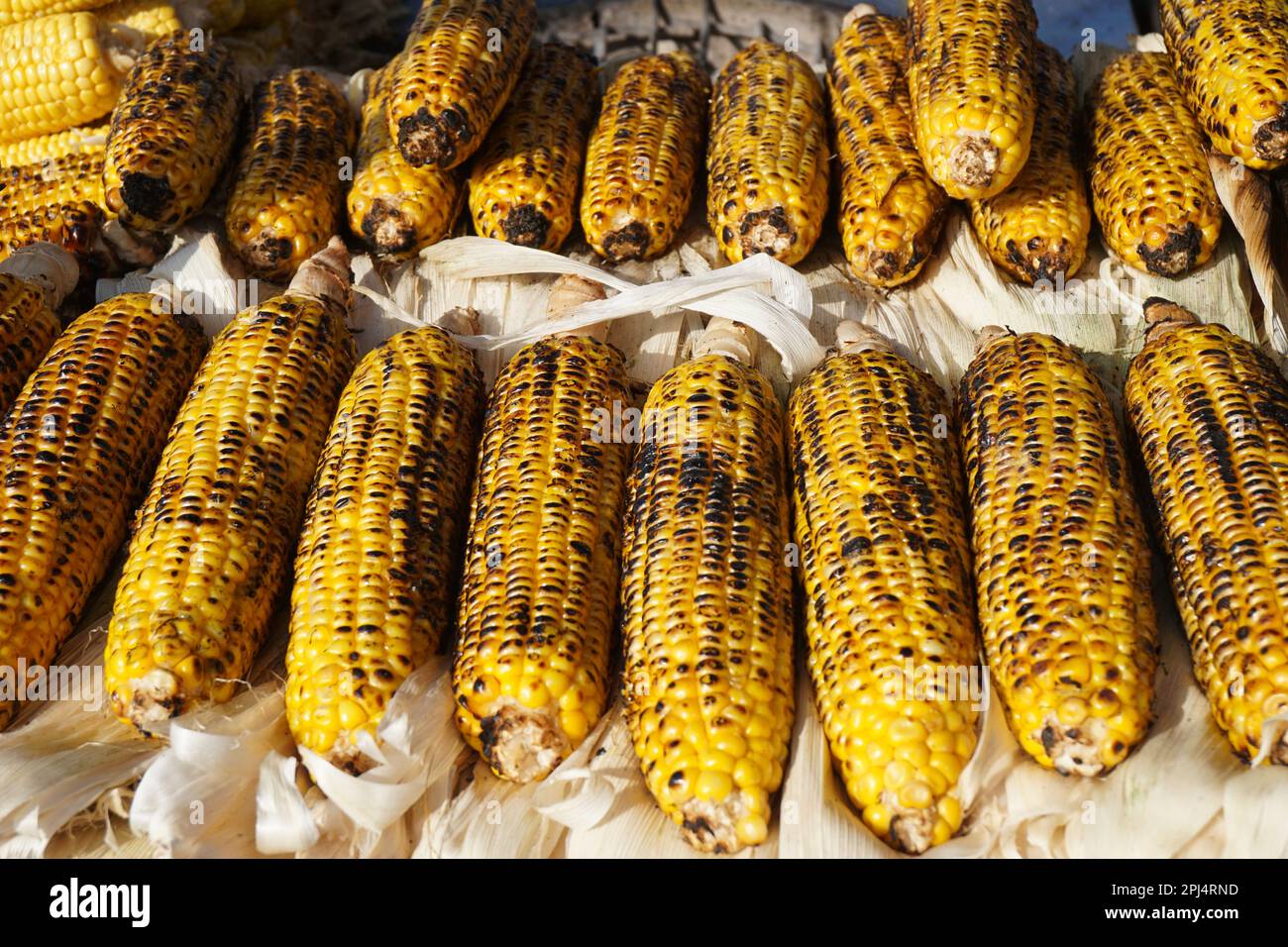Fresh baked corn cobs hi-res stock photography and images - Alamy