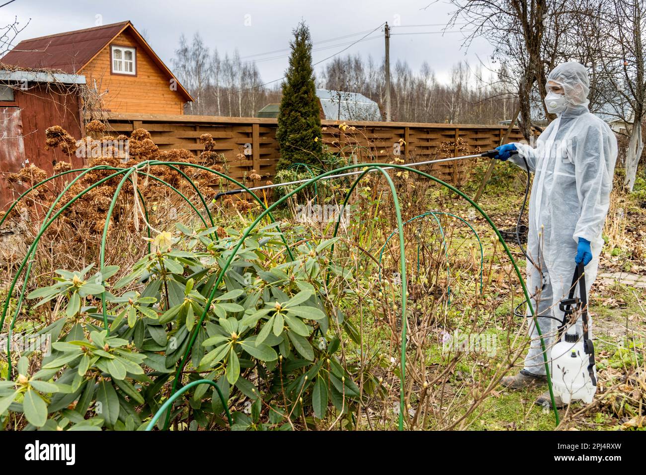 Using chemicals in the garden orchard gardener applying an insecticide ...