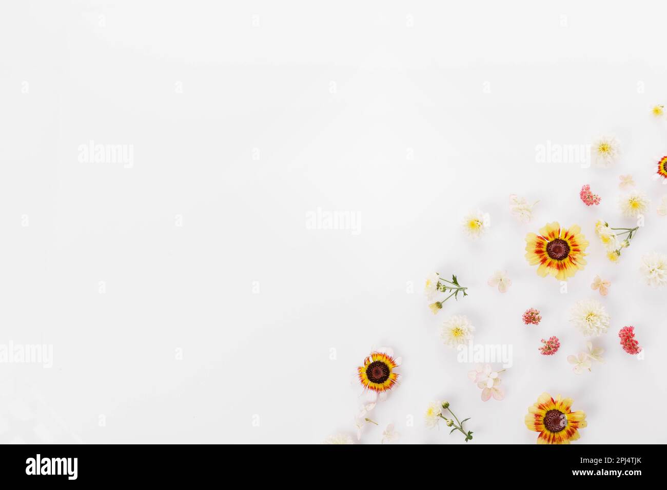 Spring frame of small flowers and daisy, floral arrangement Stock Photo ...