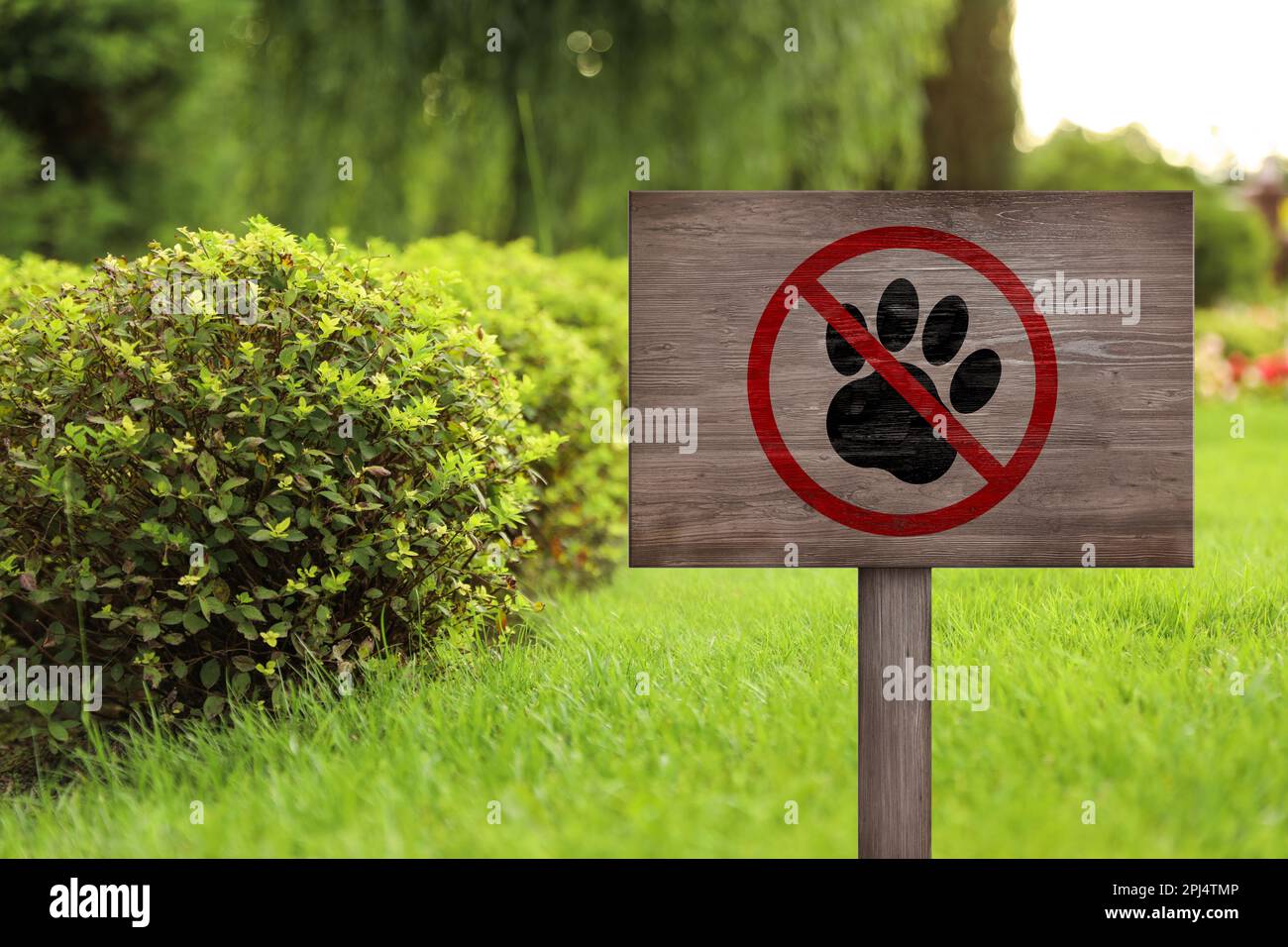 No dogs lawn sign hi-res stock photography and images - Alamy