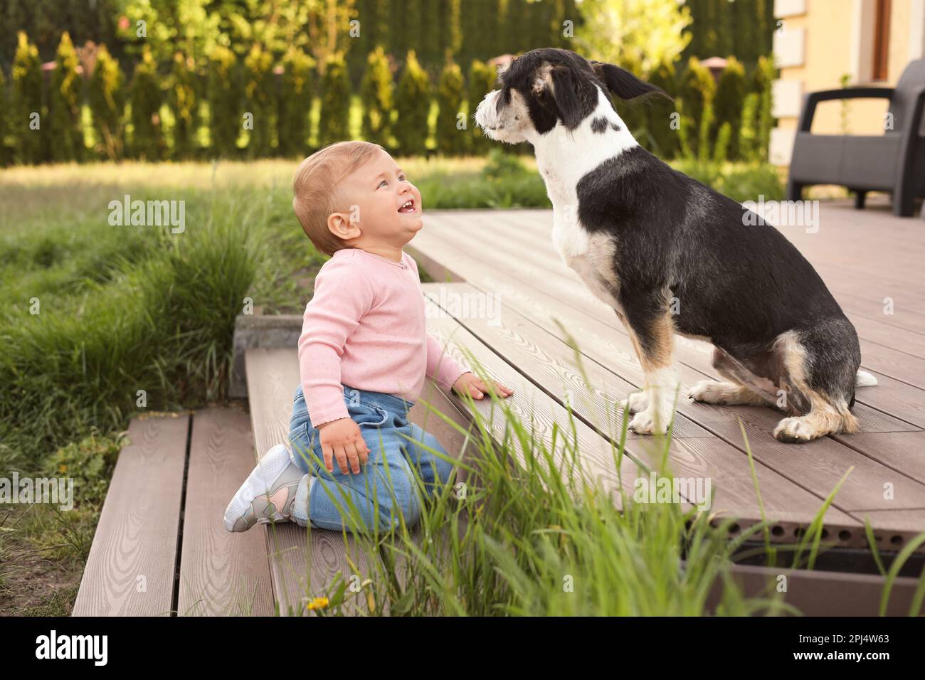 Adorable baby and furry little dog on wooden porch outdoors Stock Photo ...
