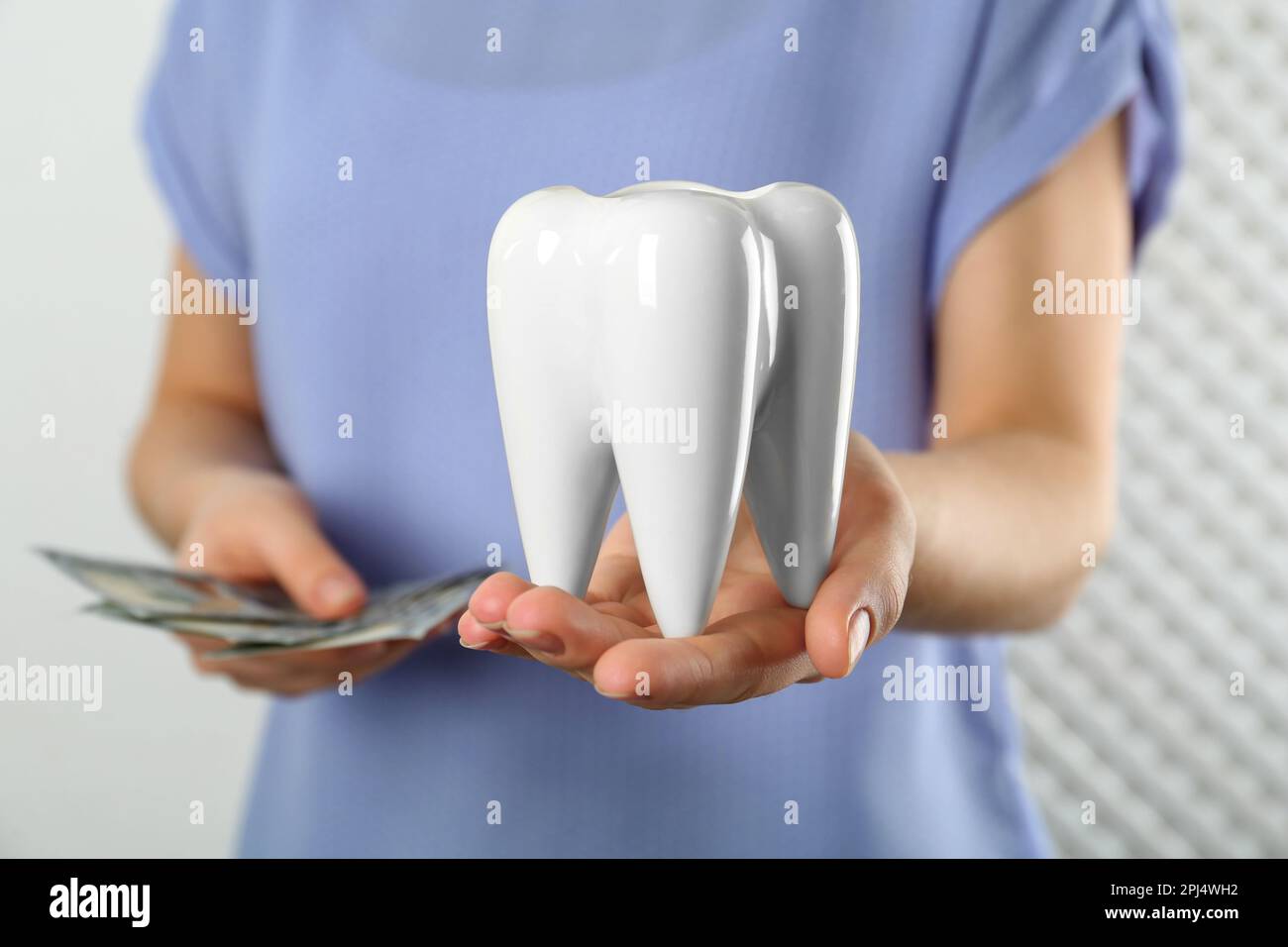 Woman holding ceramic model of tooth and dollar banknotes on light ...