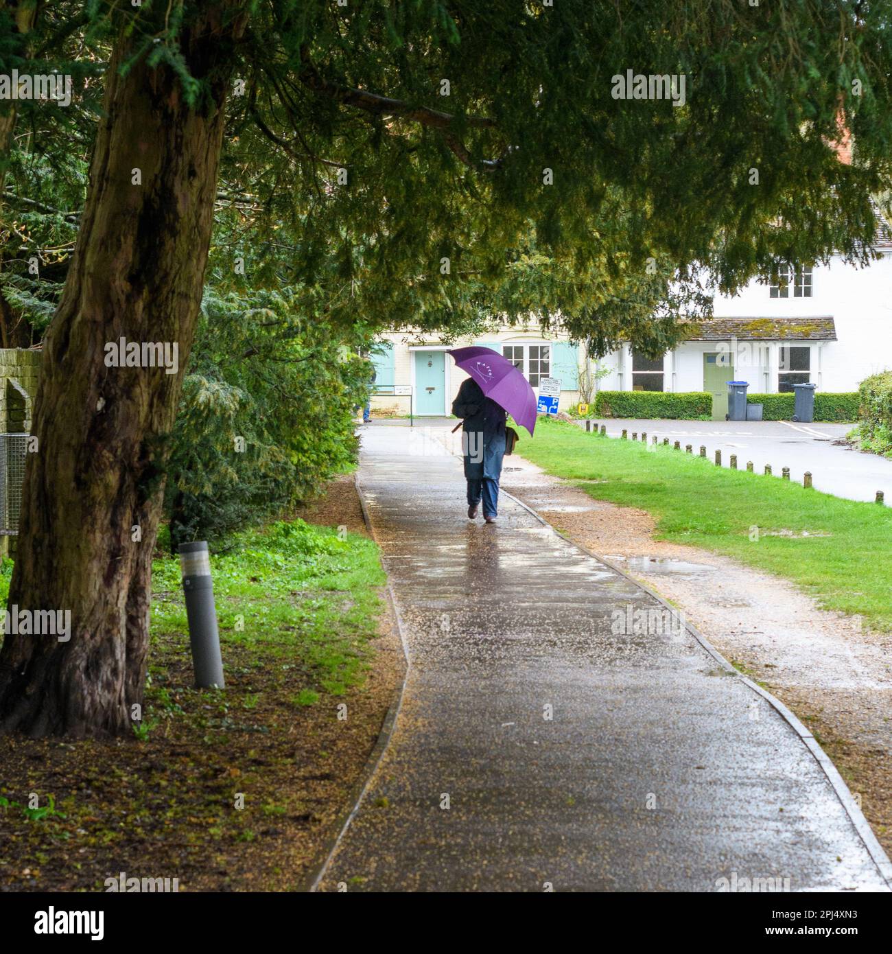 Windy weather man walking hi-res stock photography and images - Alamy