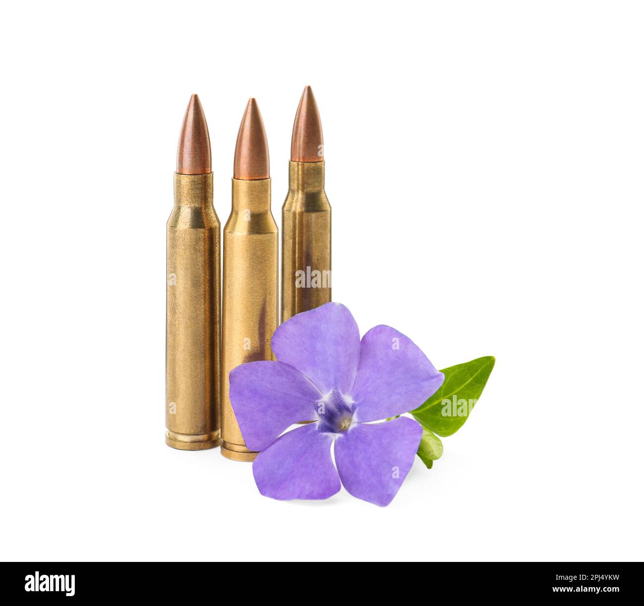Bullets and beautiful flower on white background. Peace instead of war ...