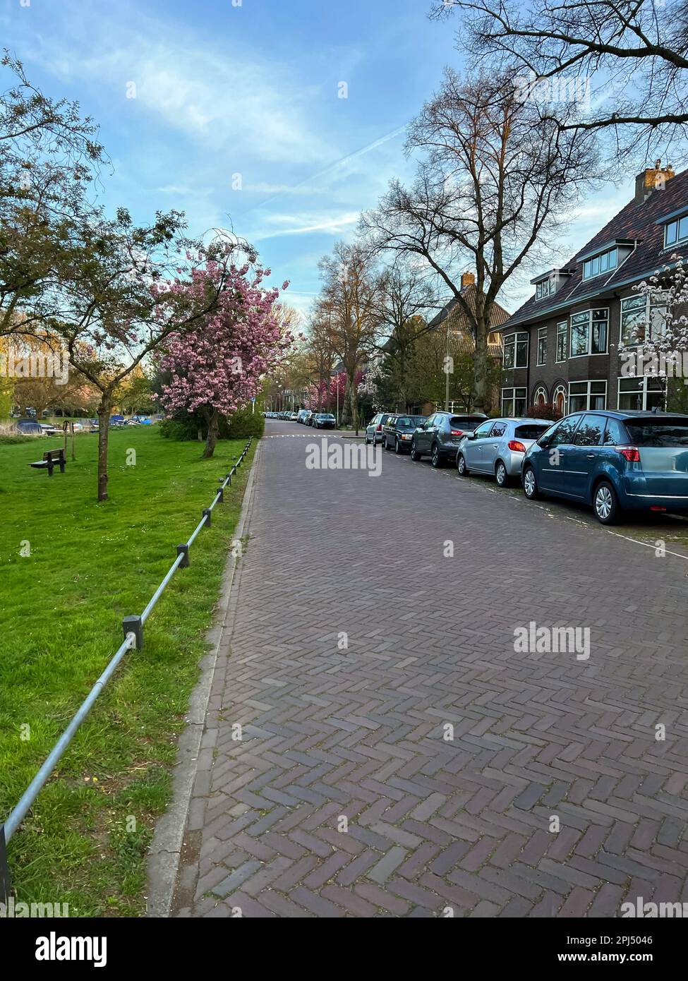 Parked cars near trees buildings hi-res stock photography and images ...