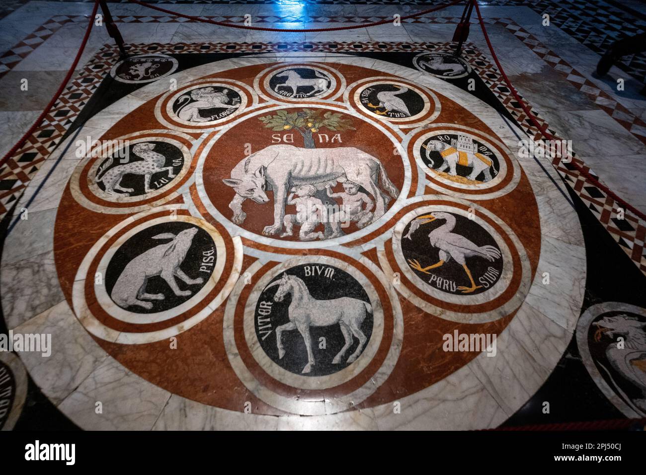 Inlaid Marble floor in Siena Cathedral, Italy - The Wheel of Fortune ...