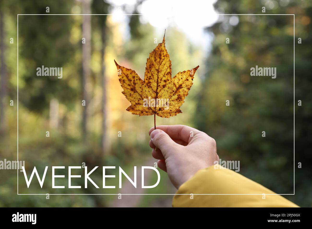 Happy sunny friday hi-res stock photography and images - Alamy