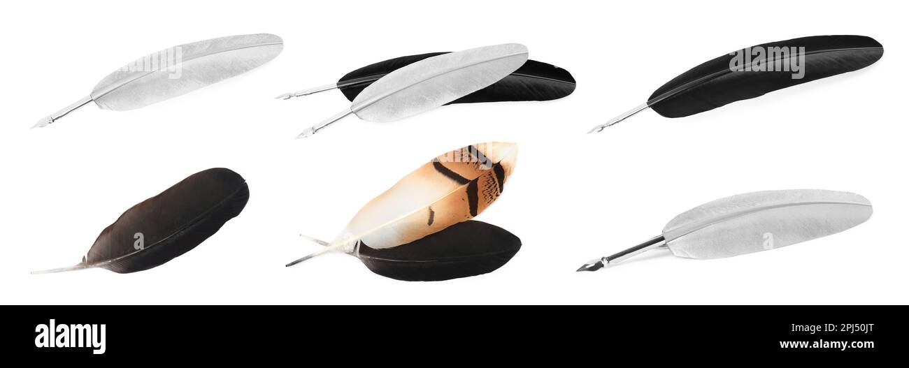 Set with different quills on white background, banner design. Writing ...