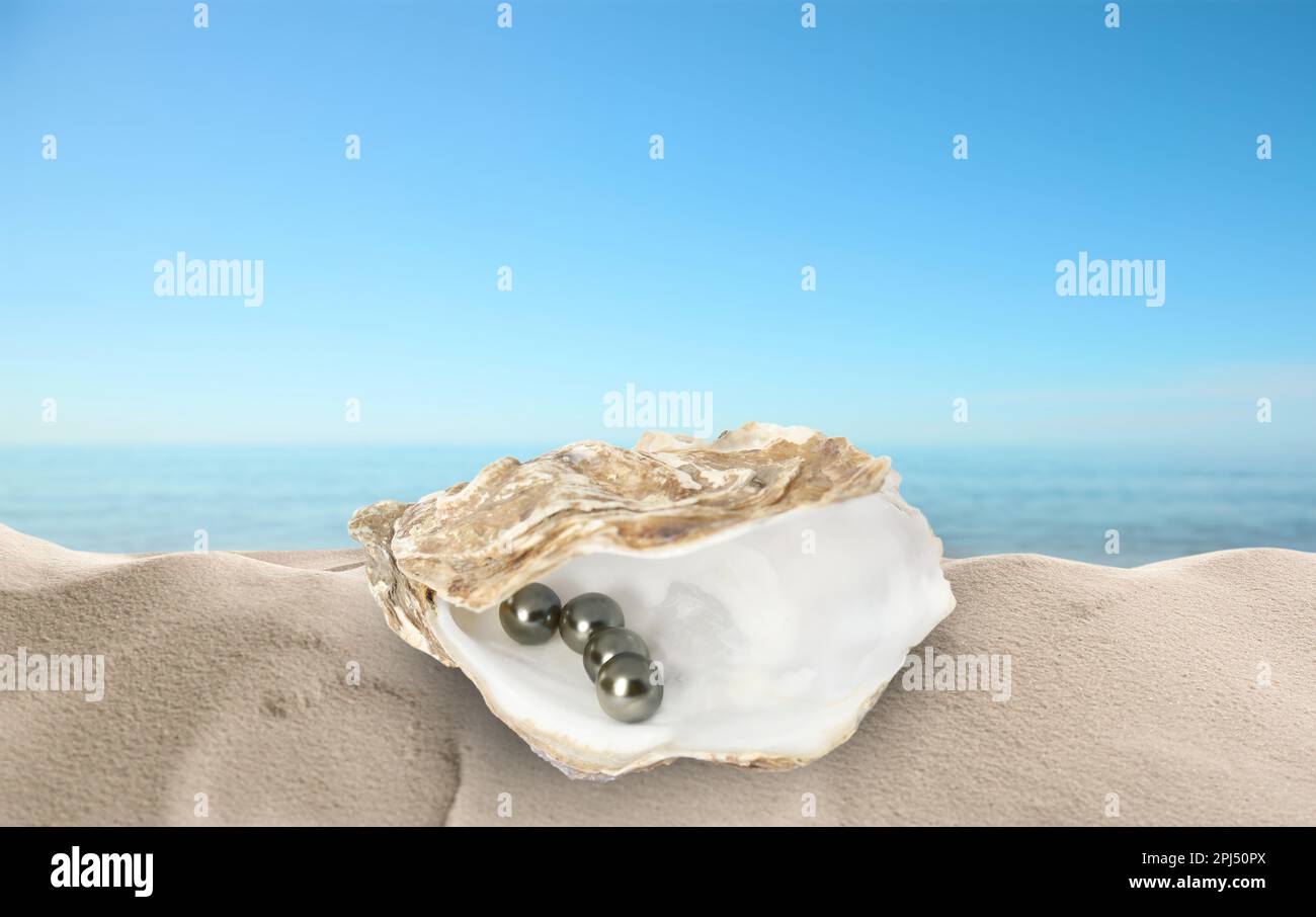 Open oyster shell with black pearls on sandy beach near sea Stock Photo ...