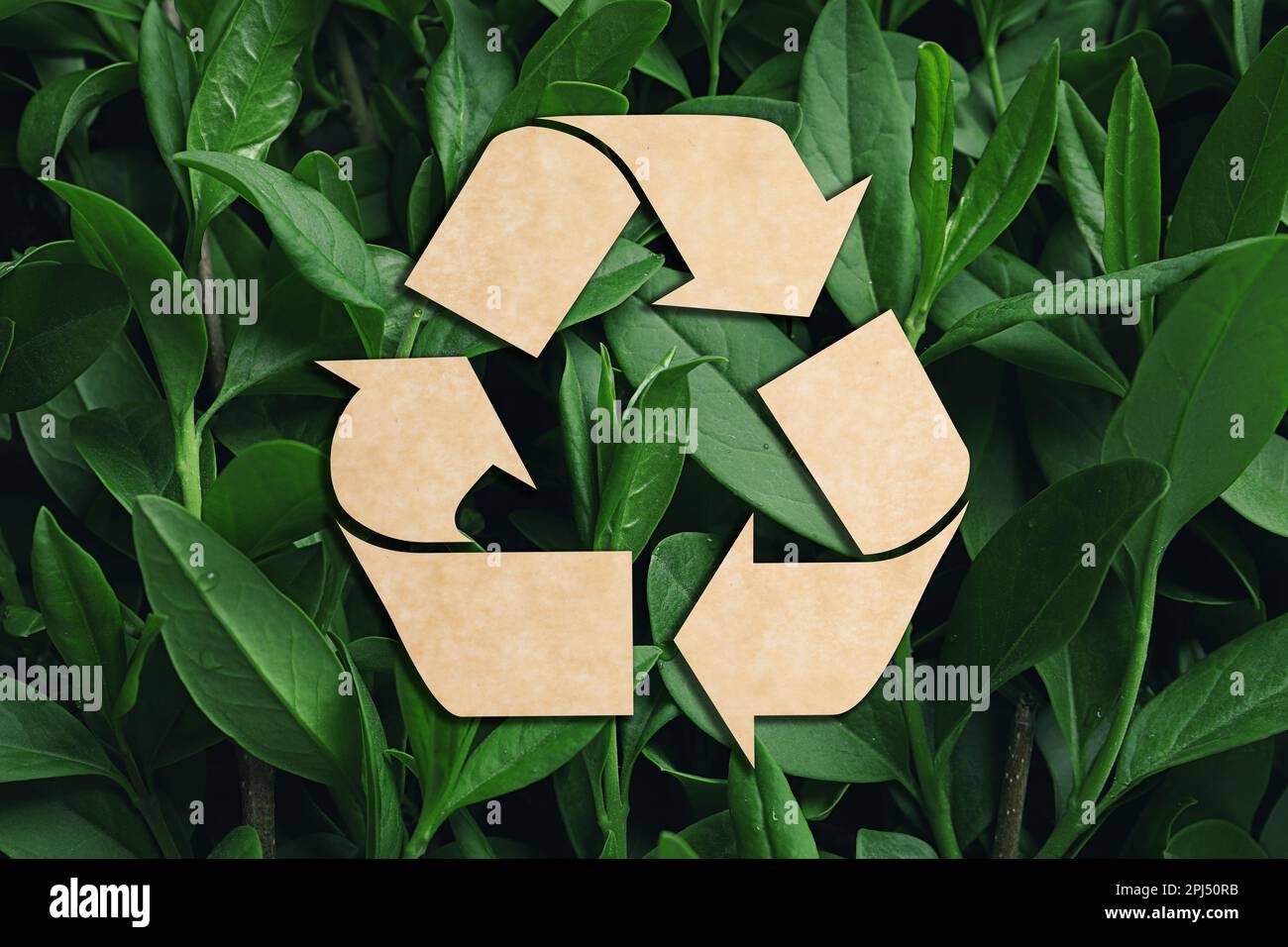 Recycling symbol cut out of kraft paper and fresh green leaves on ...