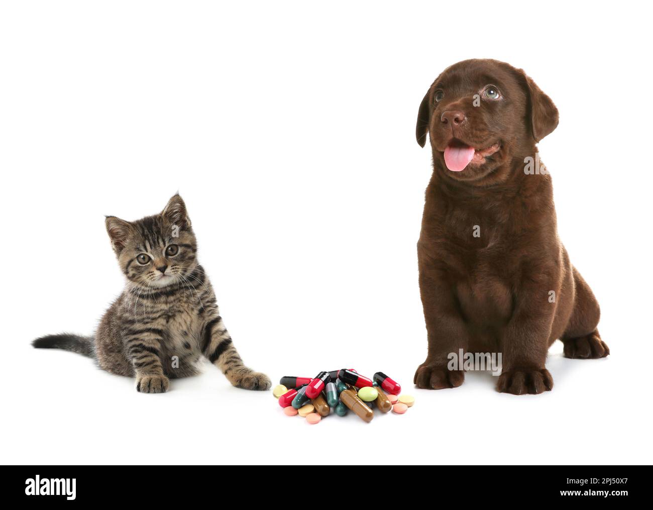 Pet drugs Cut Out Stock Images & Pictures - Alamy