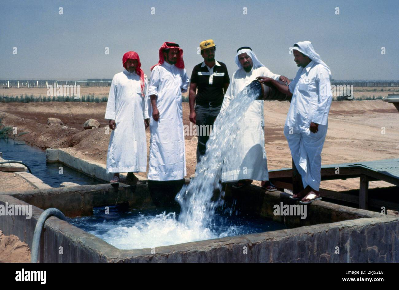 Irrigation Saudi Arabia at Marcus Vanhoose blog