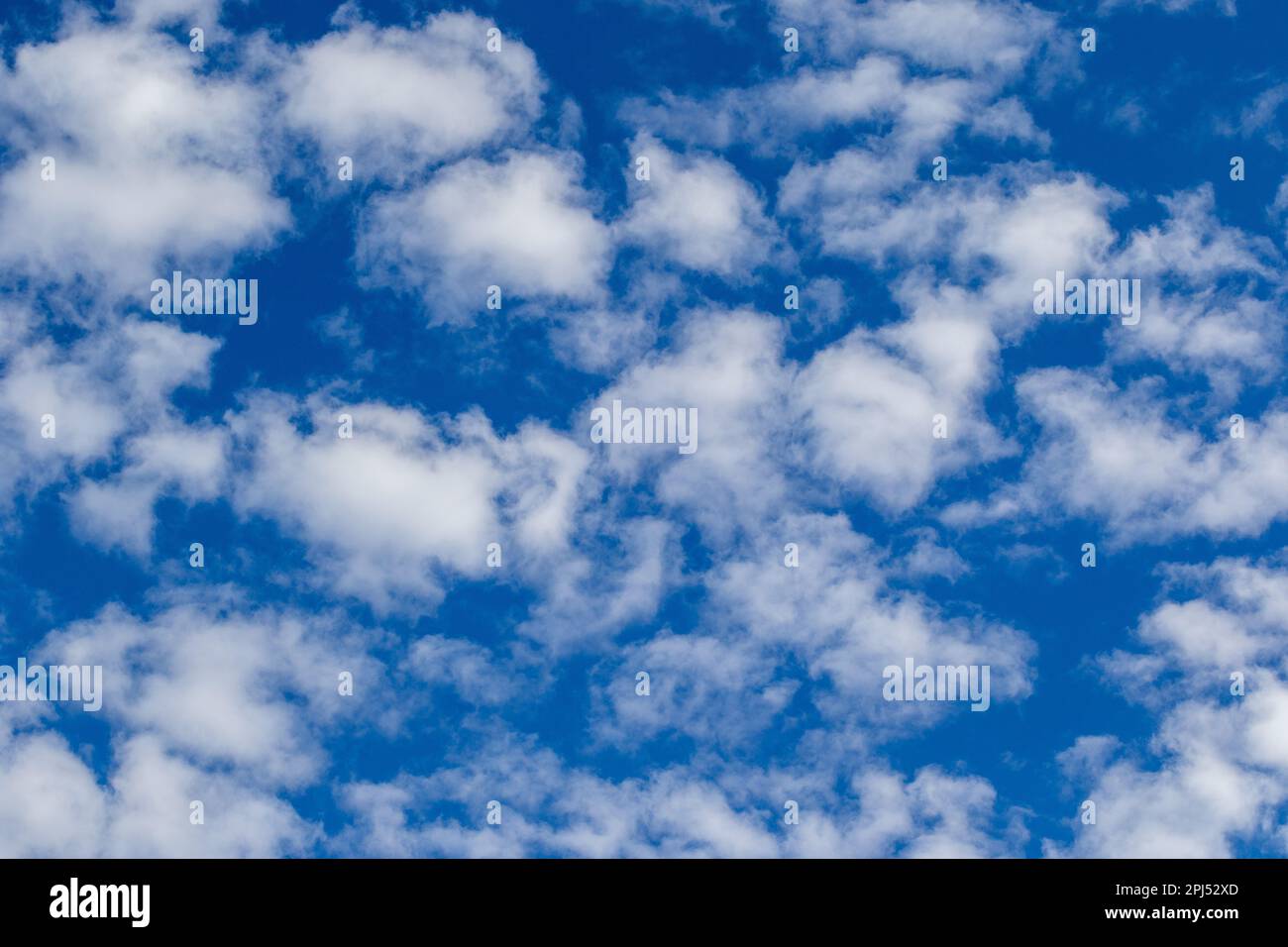 White puff ball shaped clouds in a blue sky Stock Photo - Alamy