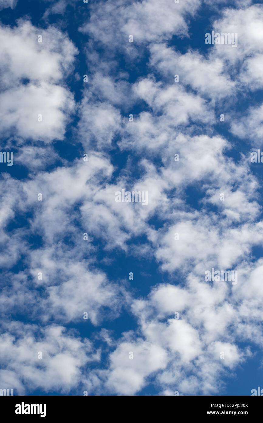 White puff ball shaped clouds in a blue sky Stock Photo - Alamy