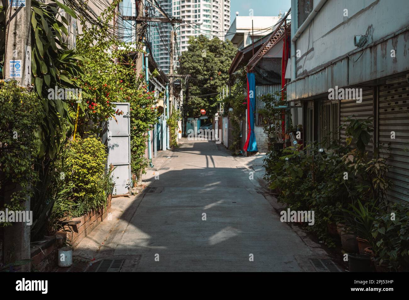 A picturesque street in Thailand, Asia with grandiose buildings on ...