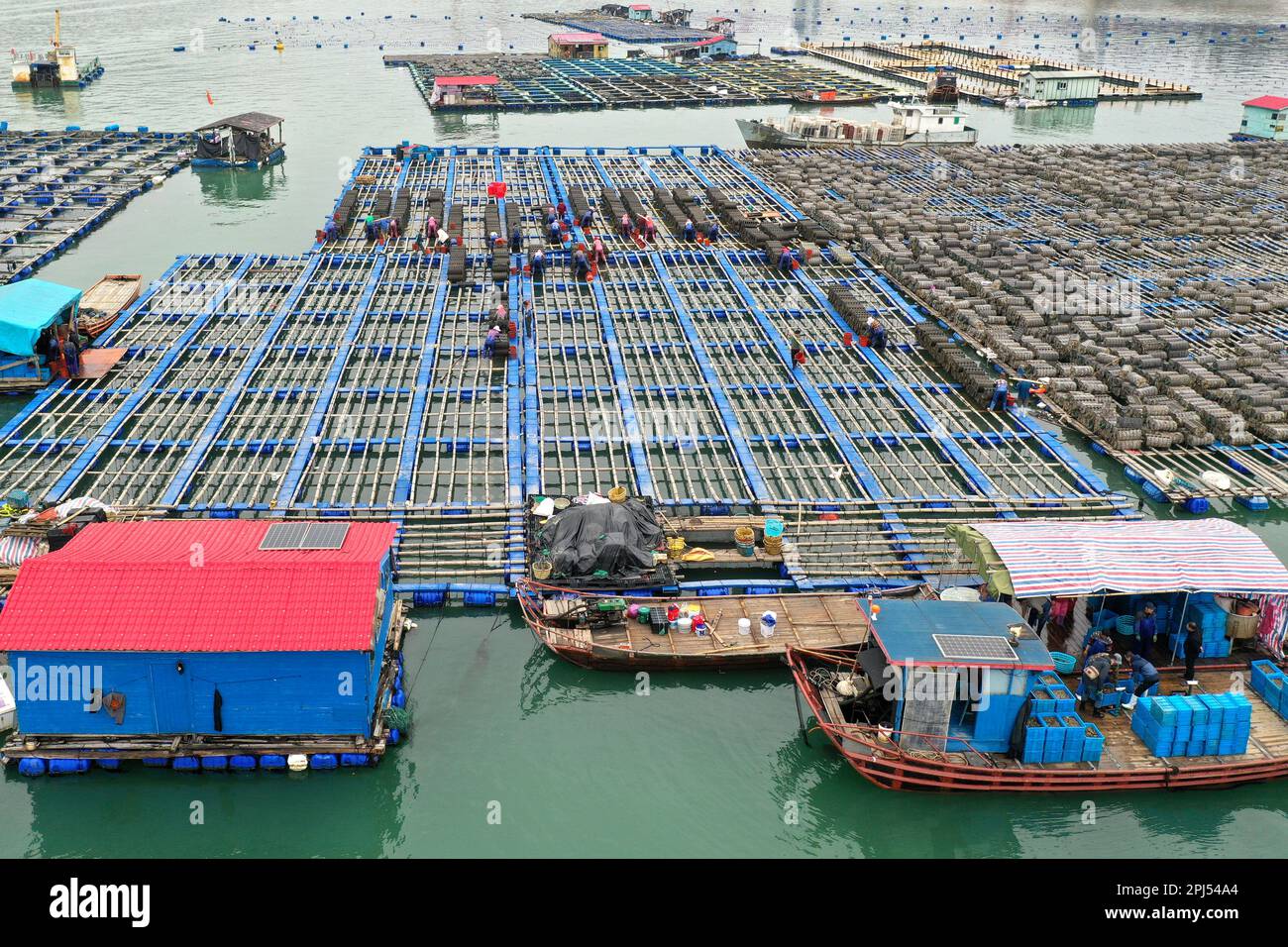 NINGDE, CHINA - MARCH 28, 2023 - Aerial photo shows the farming scene ...