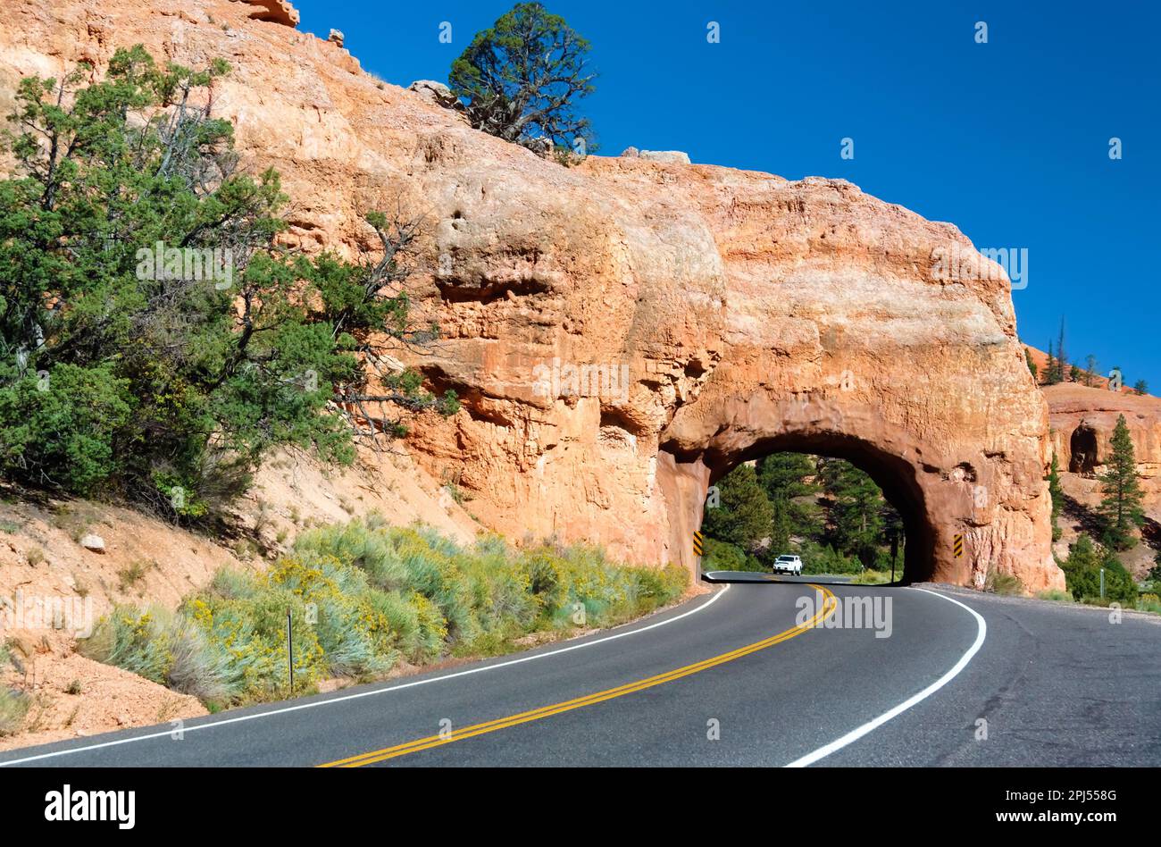 Bryce national park and car hi-res stock photography and images - Alamy