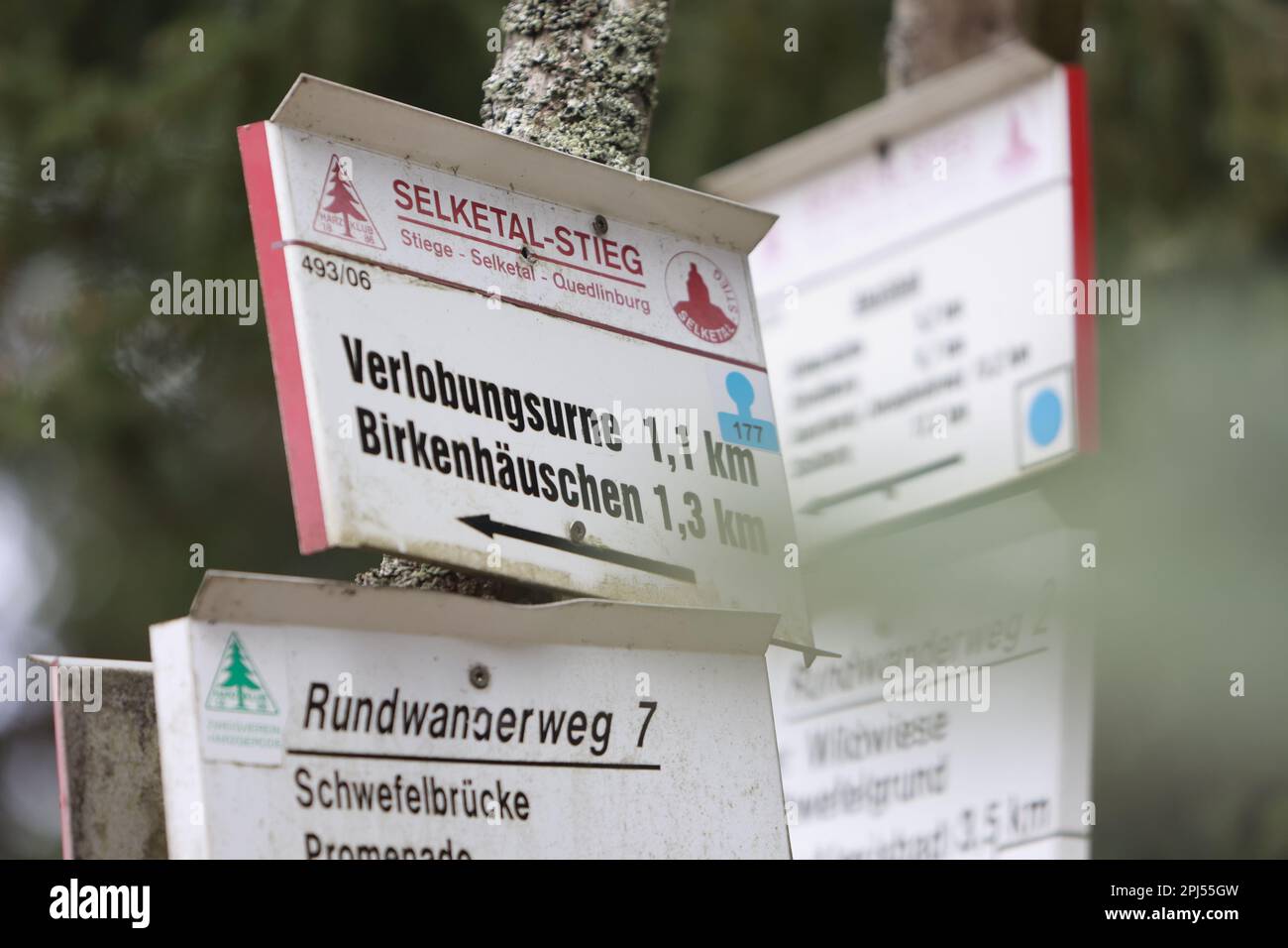 Harzer selketal hi-res stock photography and images - Alamy