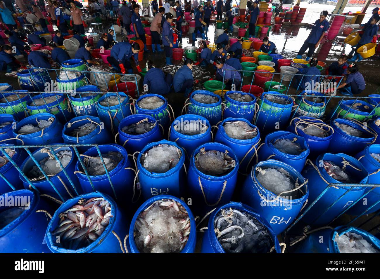Yangon, Myanmar. 31st Mar, 2023. Workers sort fishes at a jetty in ...