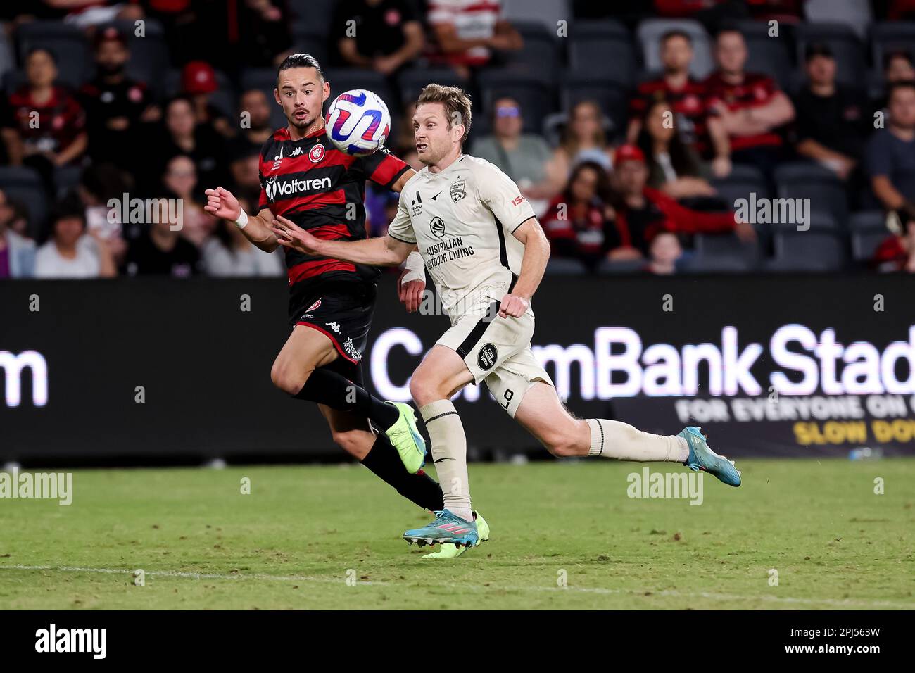 Amor layouni hi-res stock photography and images - Alamy