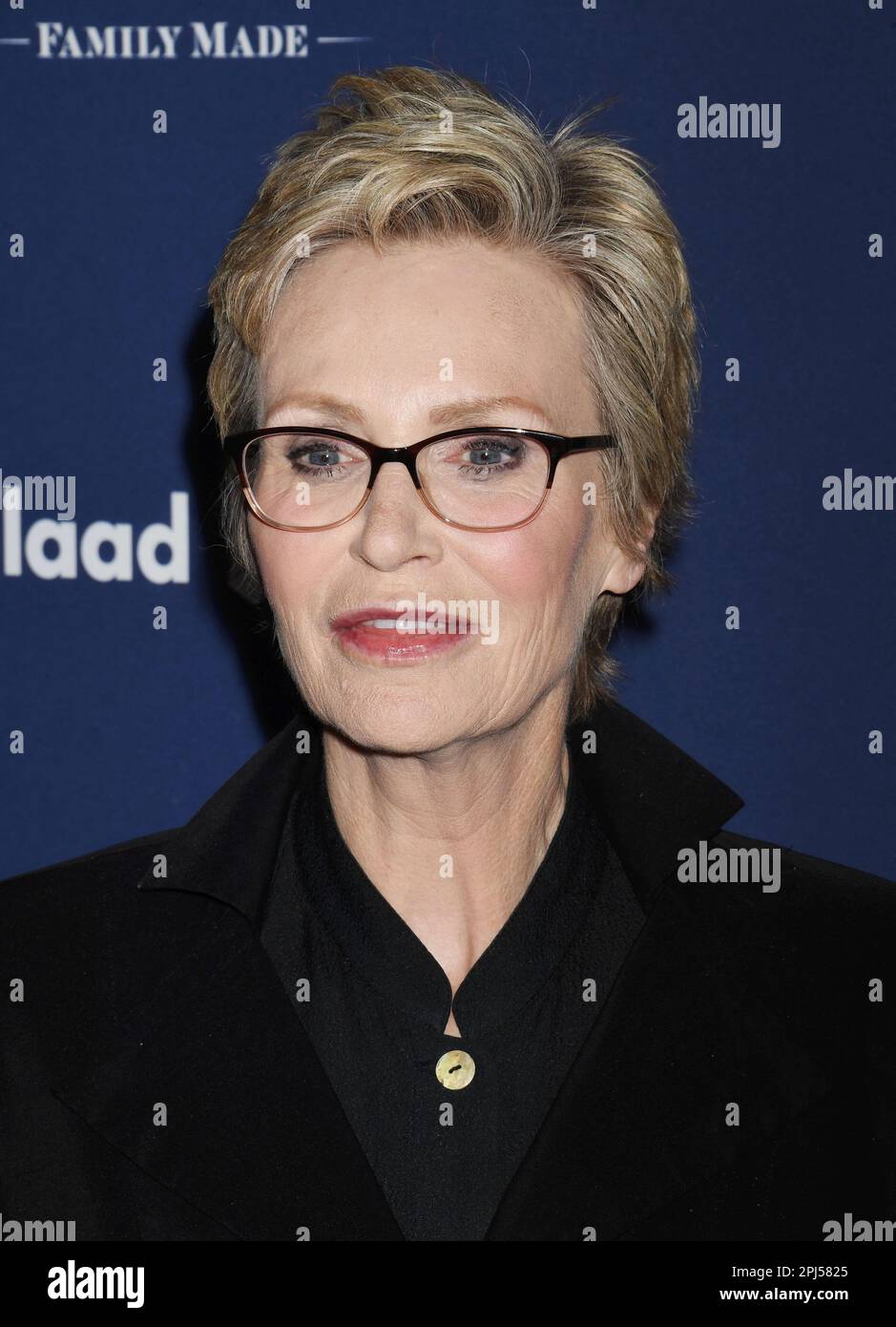 Beverly Hills, California, USA. 30th Mar, 2023. Jane Lynch attends the ...