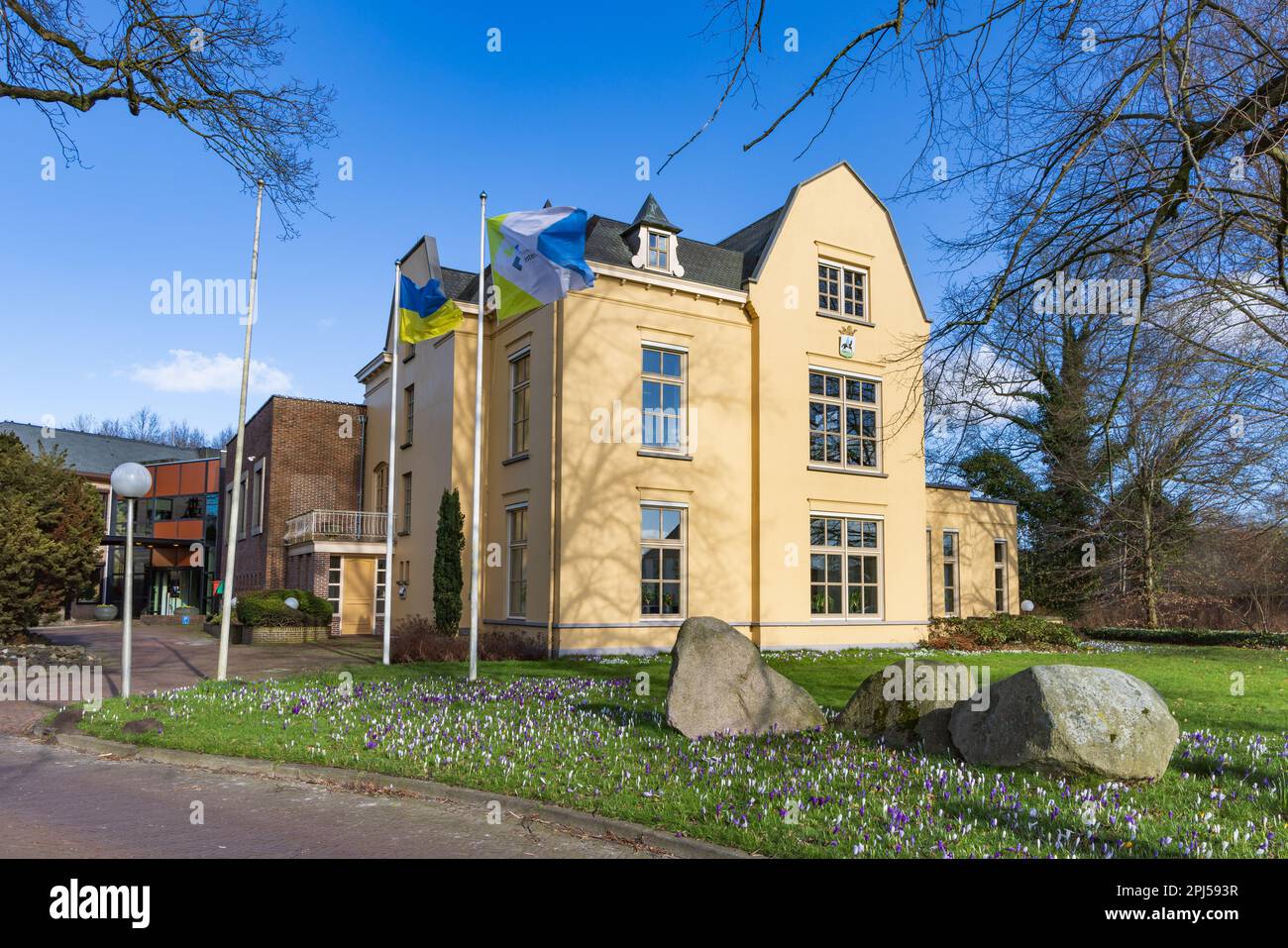 Leek, The Netherlands - Februari 25, 2023: Blooming crocus in garden of ...
