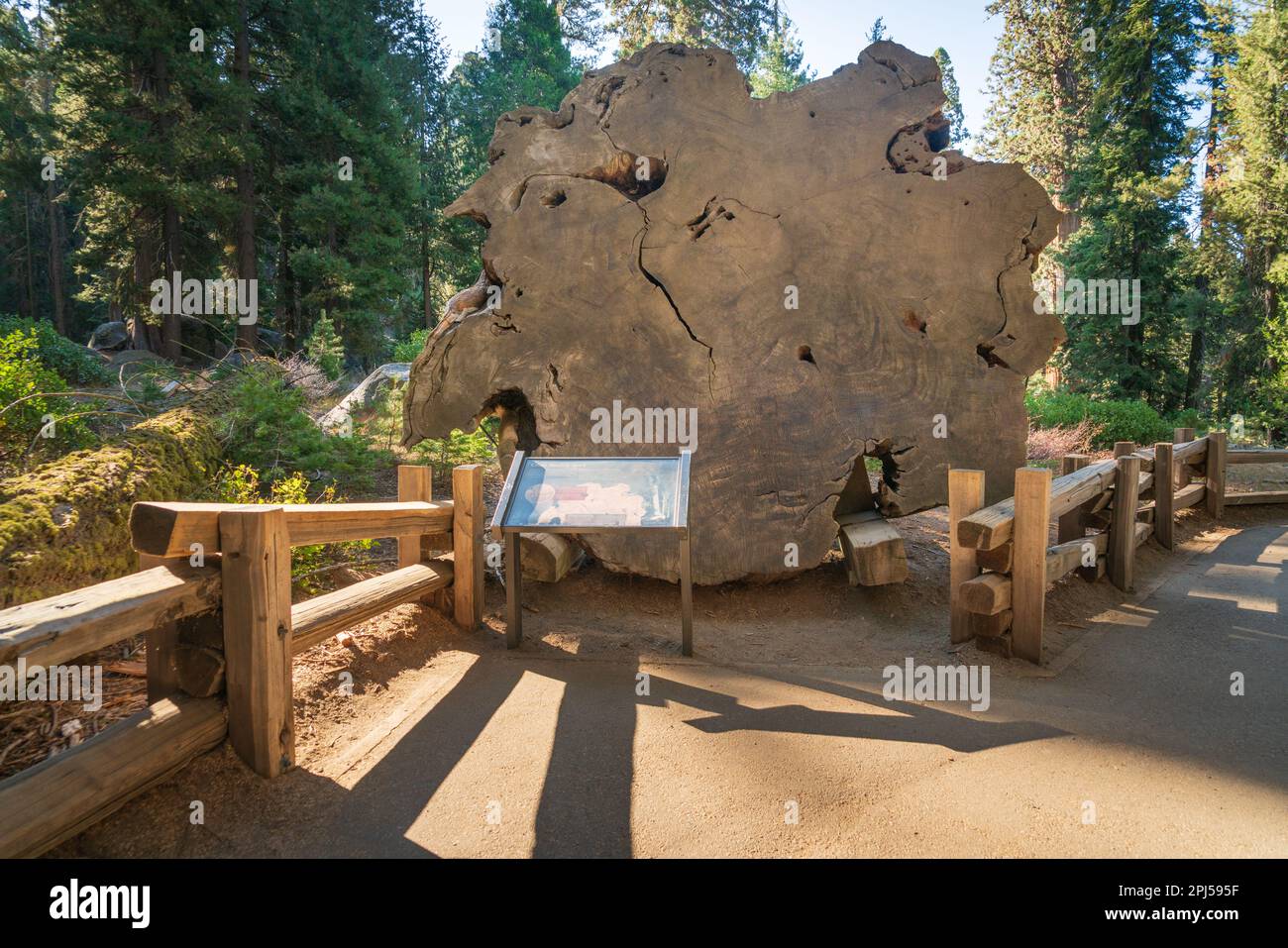Sequoia National Park in the Sierra Nevada mountains Stock Photo - Alamy