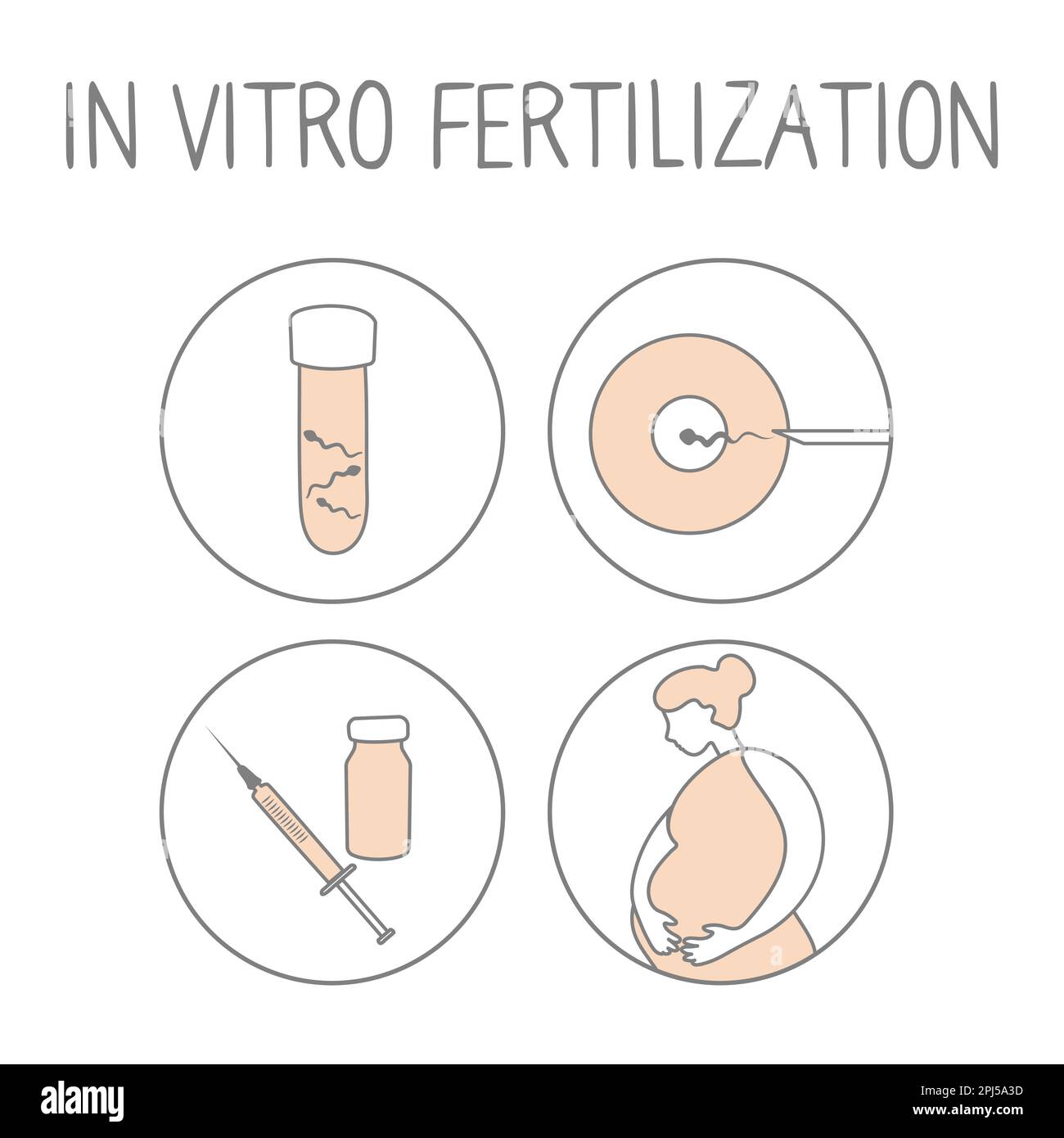 Pregnancy icon set. Linear simple illustration fertilization and ...