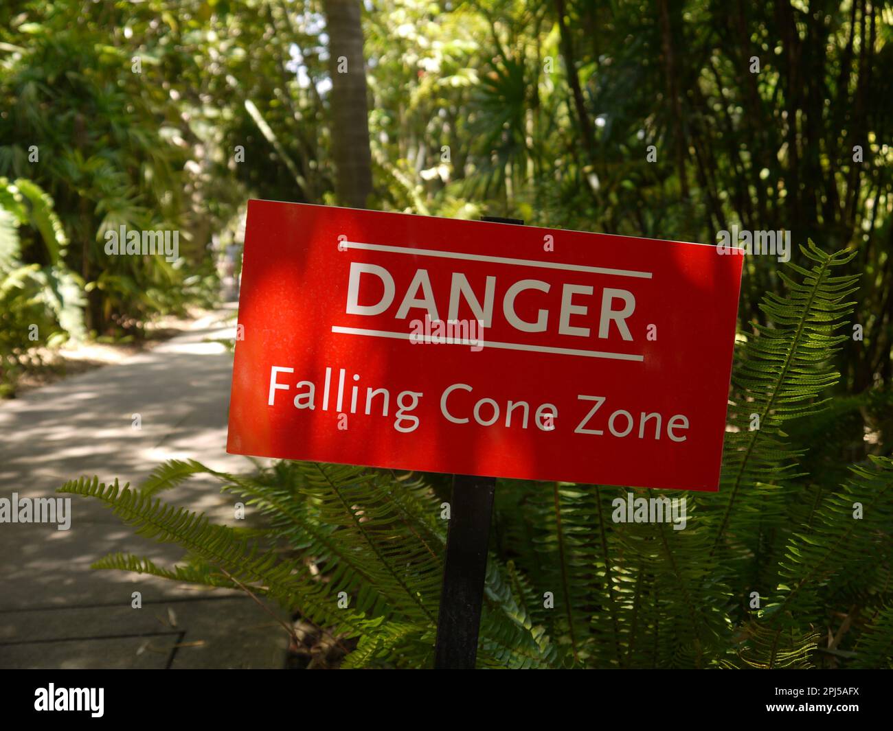 Falling Cone Zone in Huntington Botanical Gardens, San Marino Stock ...
