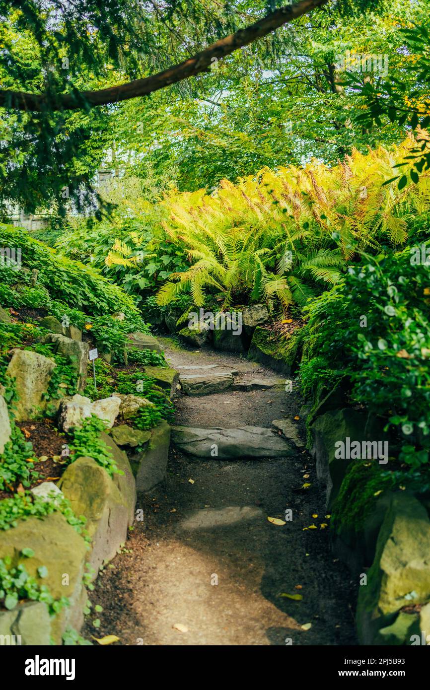 Lush green botanical garden. Blooming spring flowers and lawn path ...
