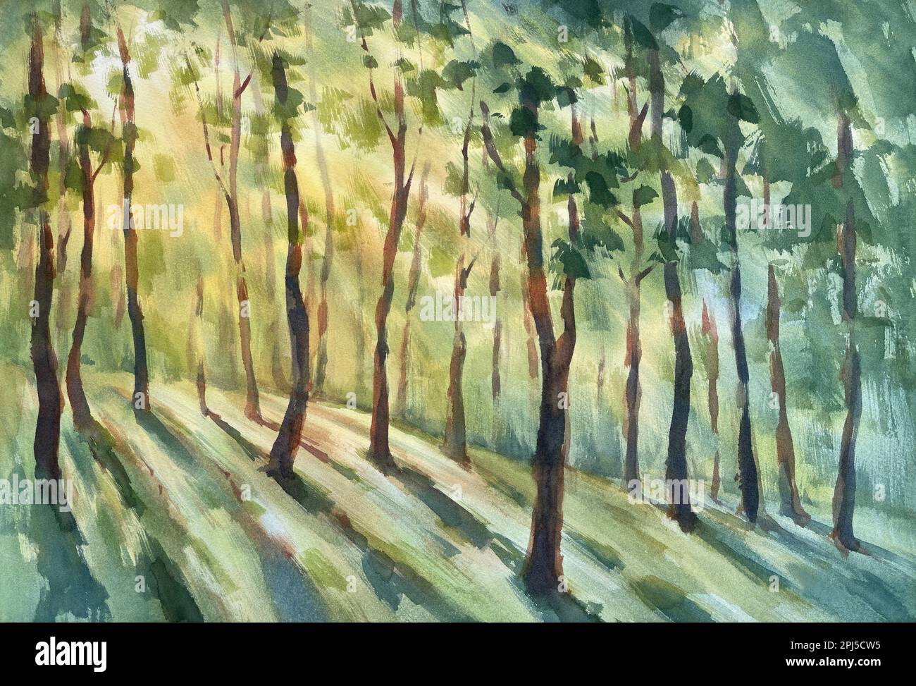 Spring forest landscape with sun light and shadows watercolor bakground ...