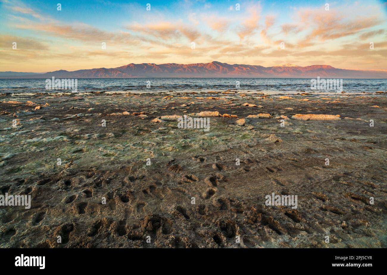 Salton sea california fishing hi-res stock photography and images - Alamy