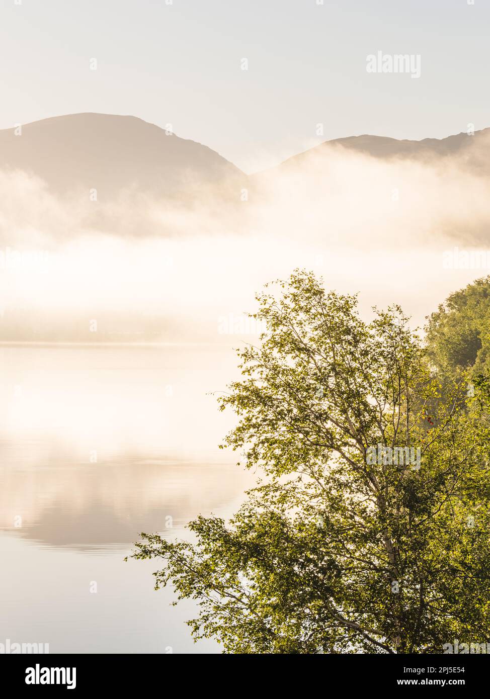 Tranquil lake scene with trees hi-res stock photography and images - Alamy