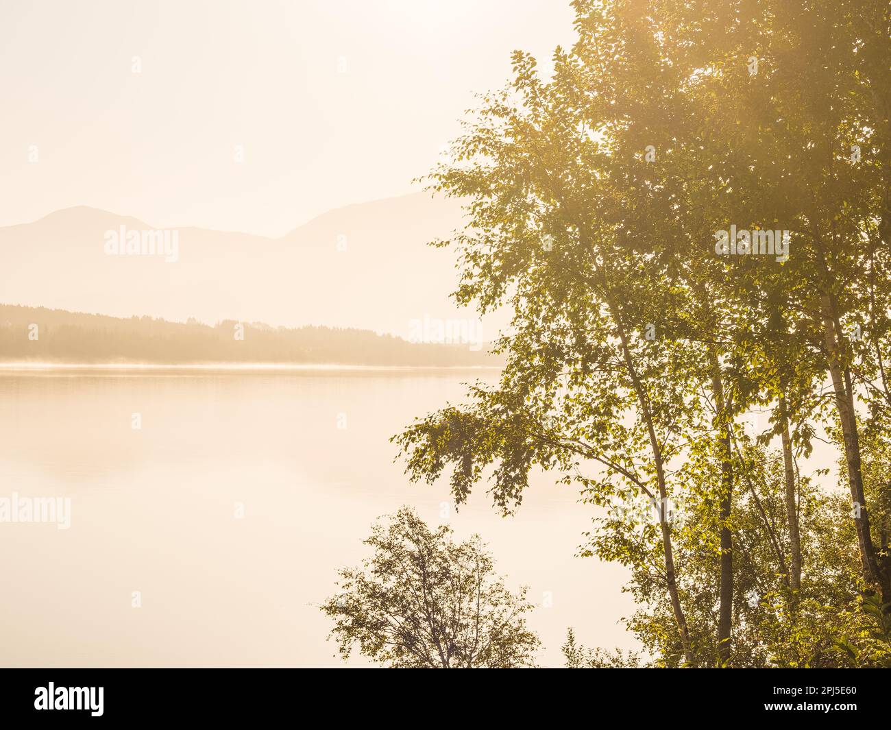 Tranquil lake scene with trees hi-res stock photography and images - Alamy