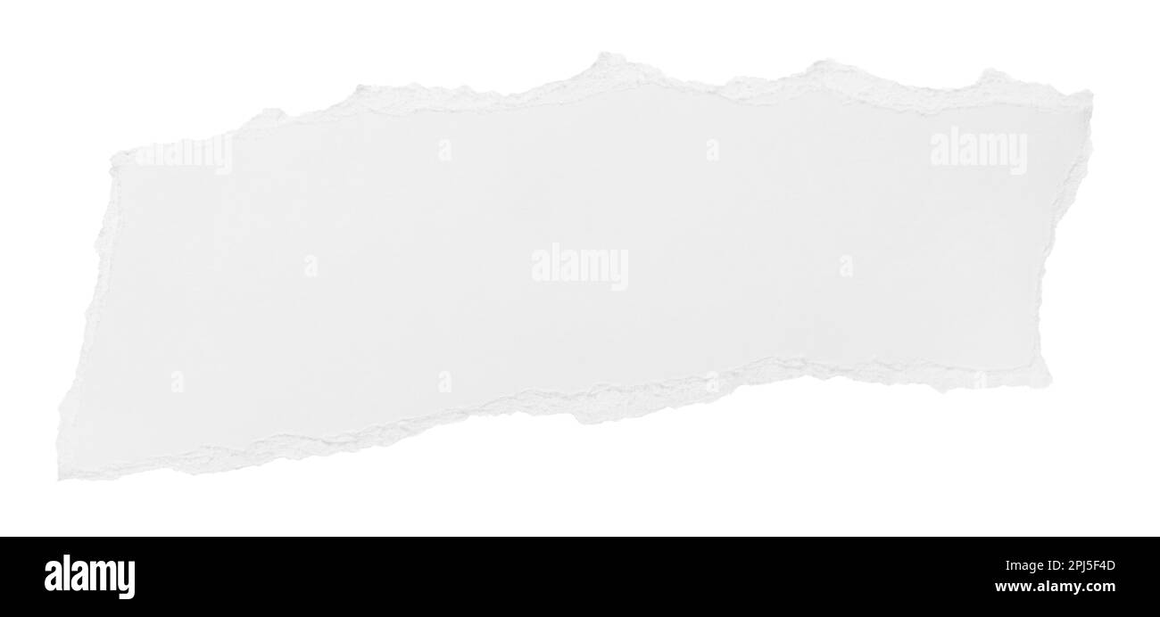 collection of white ripped pieces of paper on white background. each ...