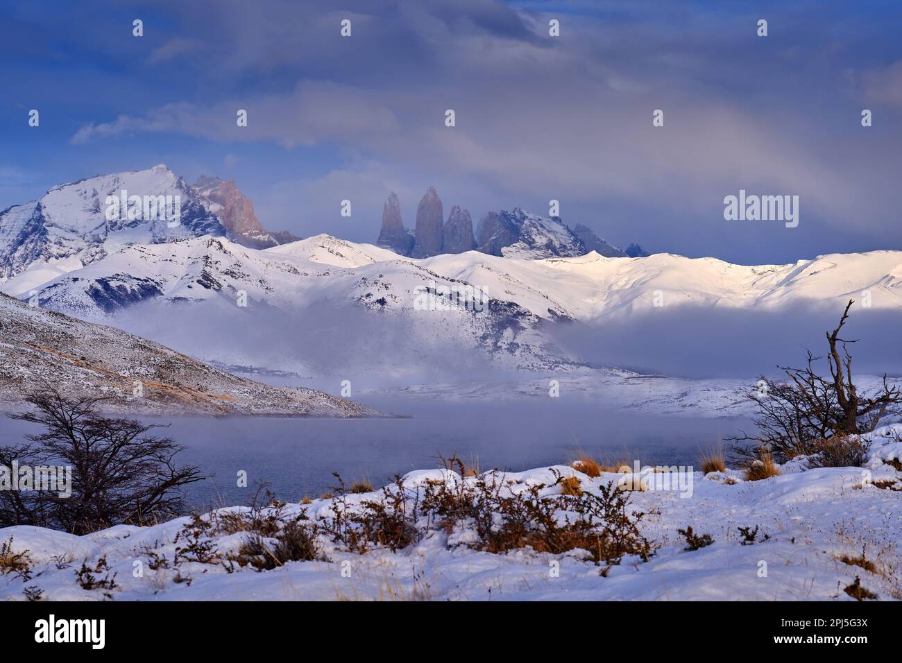 Puma azul hi-res stock photography and images - Alamy