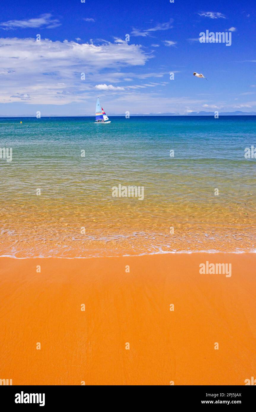 Catamaran off Totaranui Beach, Abel Tasman National Park, Nelson Region ...