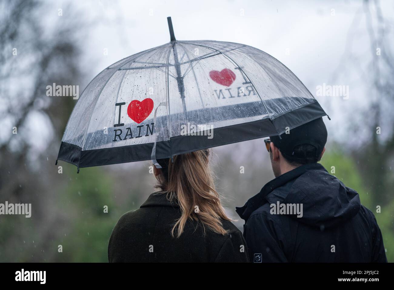 Umbrella Love Rain