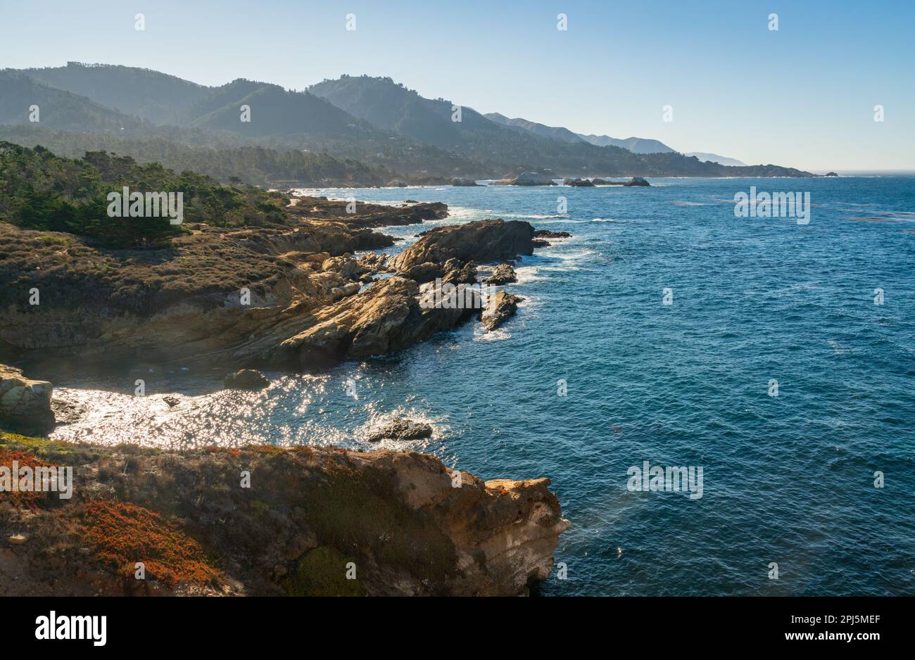 Point Lobos State Natural Reserve, California Stock Photo - Alamy