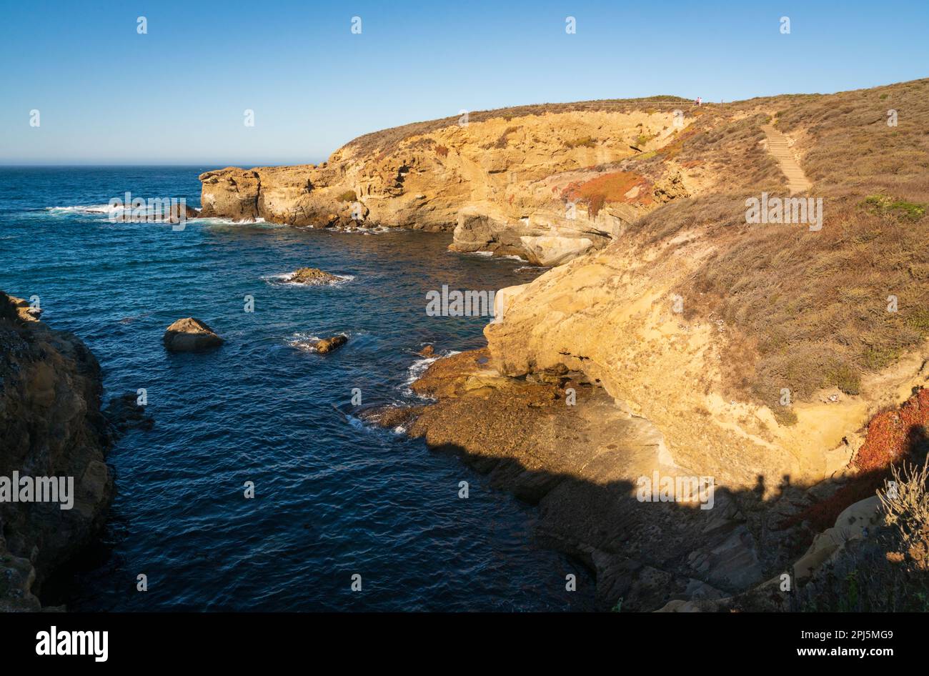 Point Lobos State Natural Reserve, California Stock Photo - Alamy