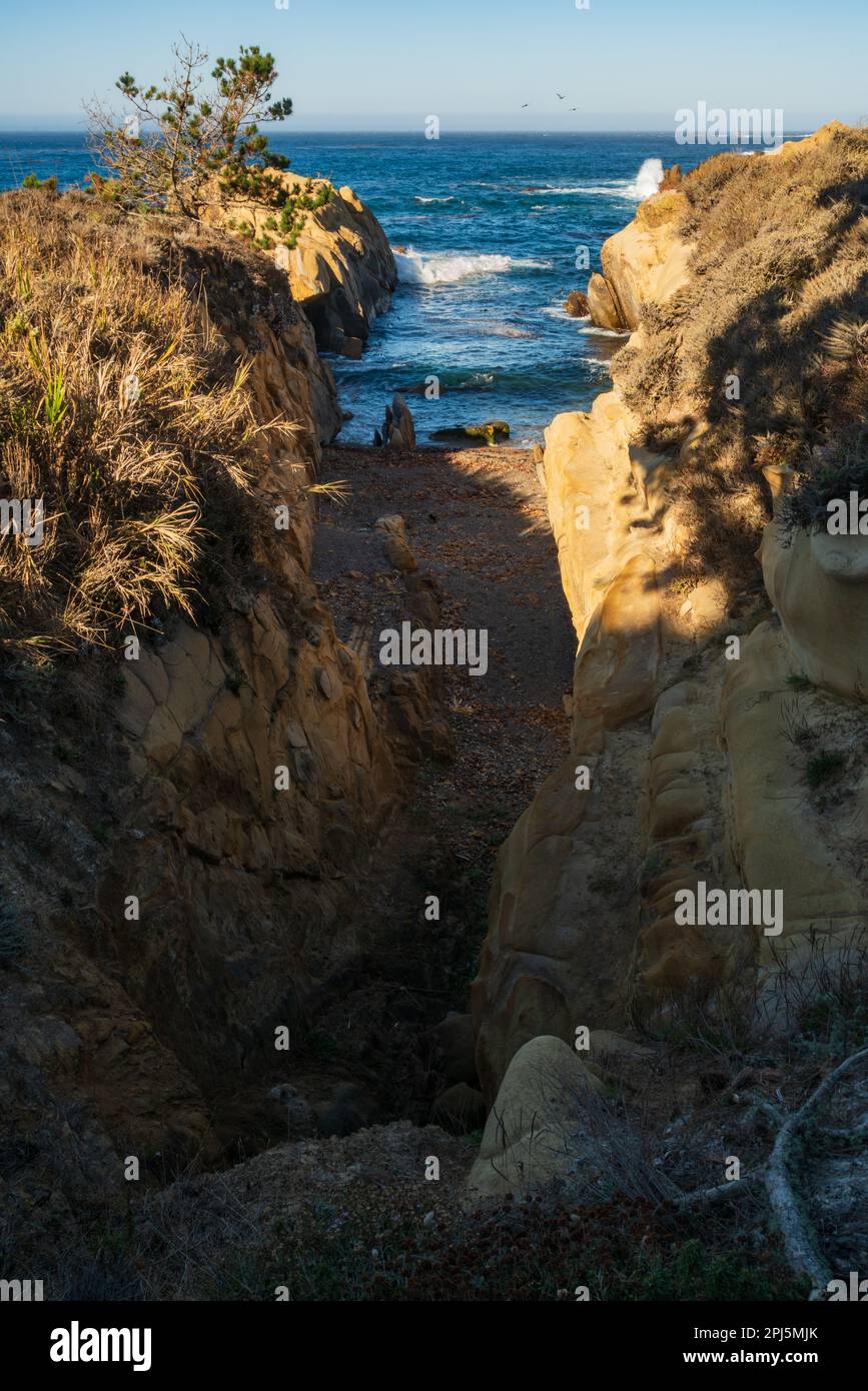 Panoramic of point lobos state natural reserve hi-res stock photography ...
