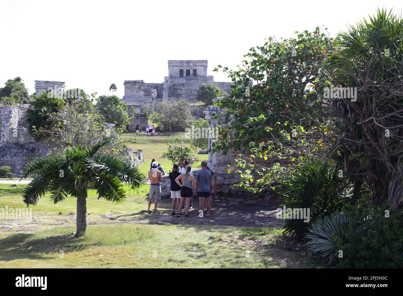Guide & tourists in the Tulum Archaeological Zone with El Castillo in ...
