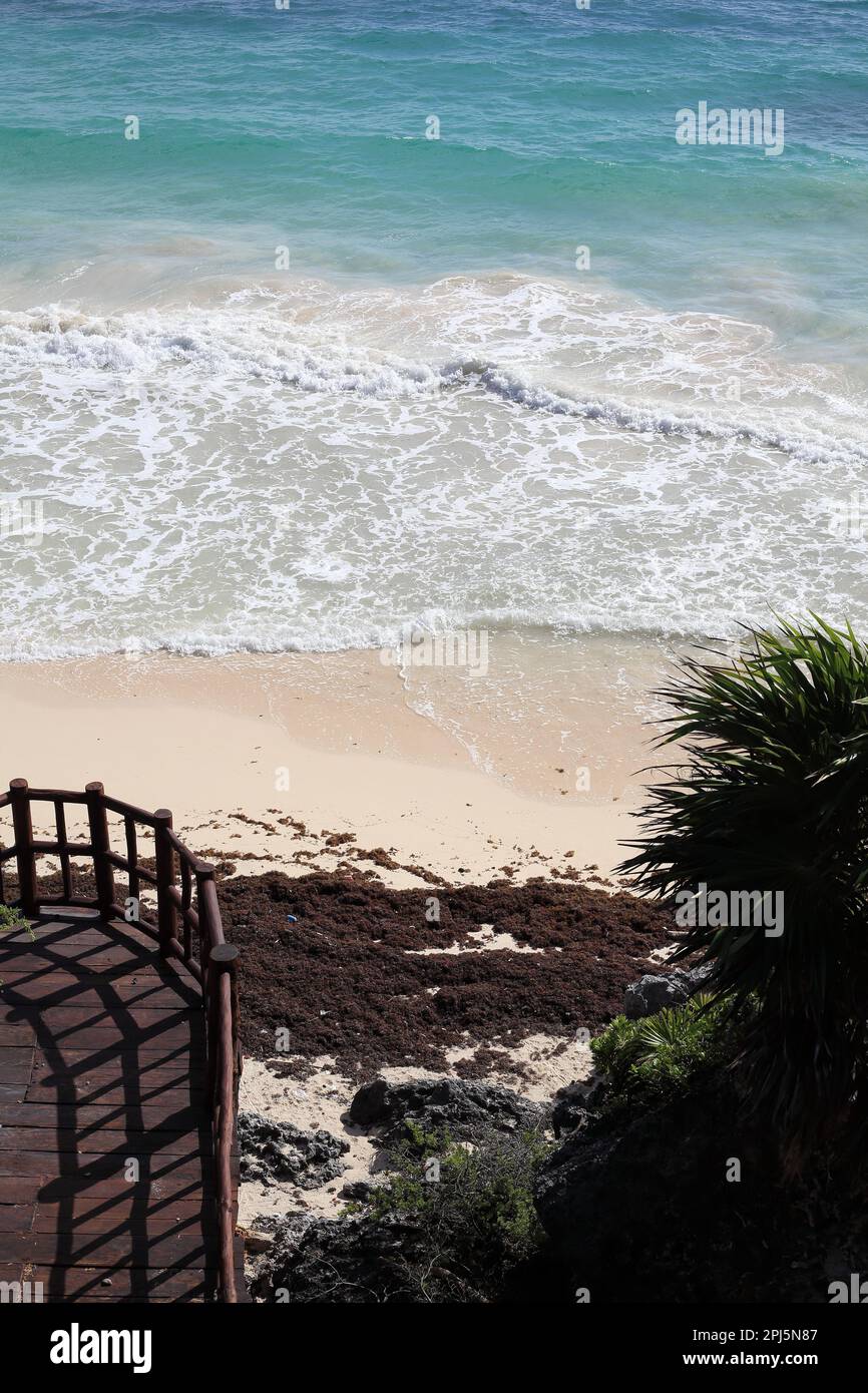 Path going down to the small beach and Caribbean sea at Tulum ...