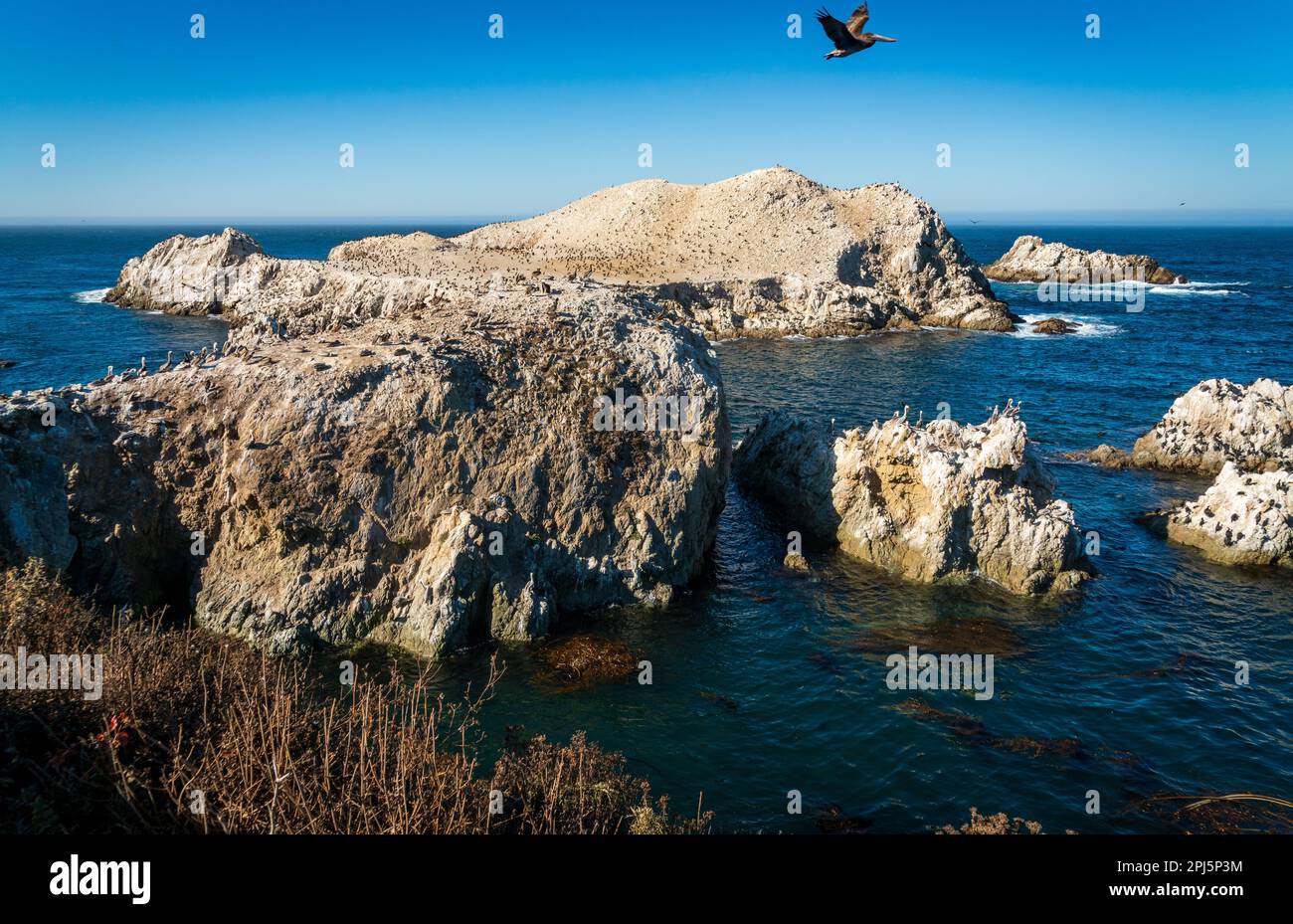 Point Lobos State Natural Reserve, California Stock Photo - Alamy