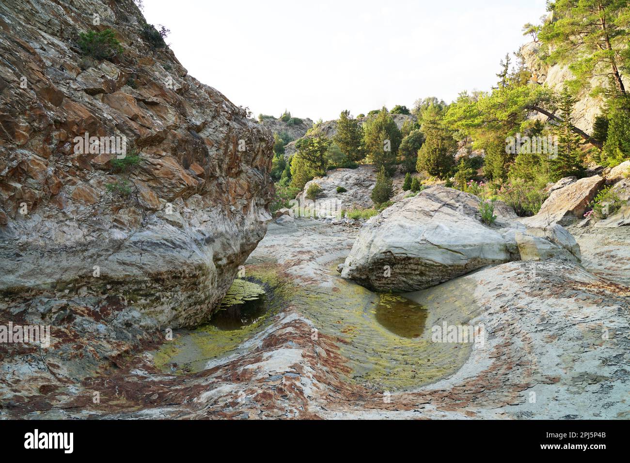Greek nature, amazing Landscape in Rhodes with an lake in the Summer ...