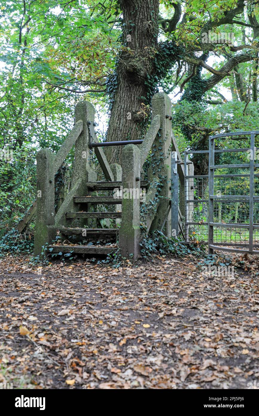 An unusual step stile made from concrete, Whitegate Way, Cuddington ...