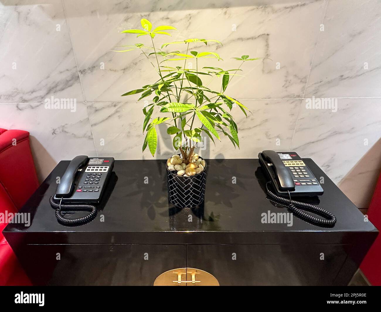 old fixed-line telephone sets and Pachira aquatica Stock Photo - Alamy