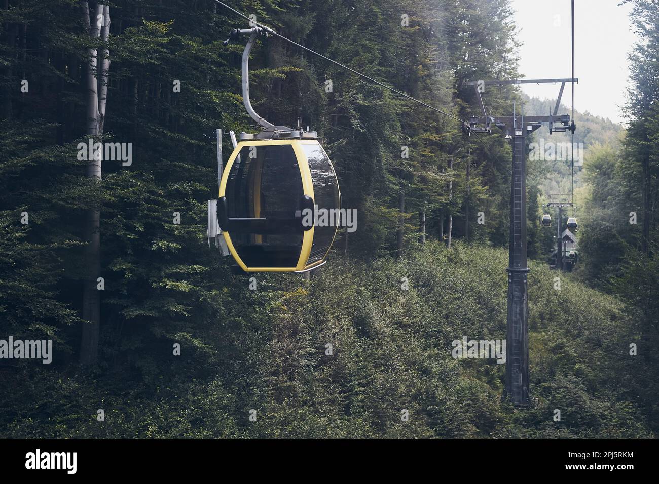 Cable car go to top of mountain among trees in forest on summer sunny ...