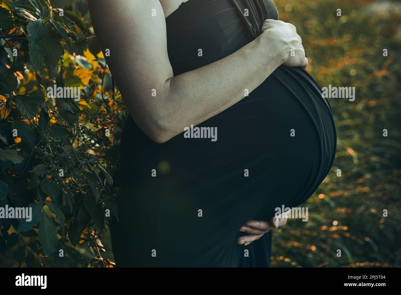 Pregnant woman hugging her tummy standing outdoors surrounded by nature ...