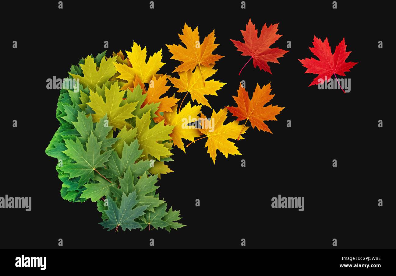 Cognitive Function Decline abnd Mental illness or Alzheimer's disease ...